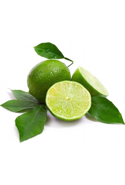 Boothas Misket Limon 10'lu Lime Limon + 2'li Saksı + Torf + Tohum Boothas Misket Limon 10'lu Lime Limon + 2'li Saksı + Torf + Tohum