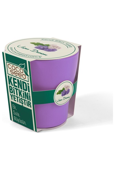 Cocoseed Bitki Yetiştirme Kiti - Vapur DumanıMor Bio Plastik Saksı