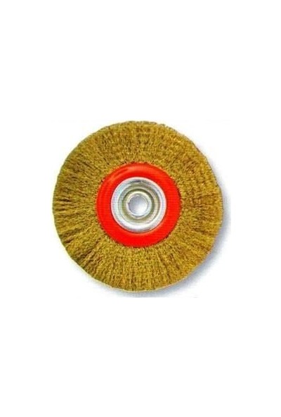 CTM CTM Saçaklı Daire Fırça 175 MM