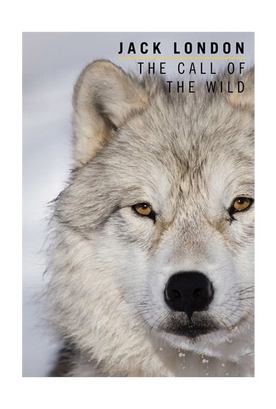 The Call Of The Wild-Jack London The Call Of The Wild-Jack London