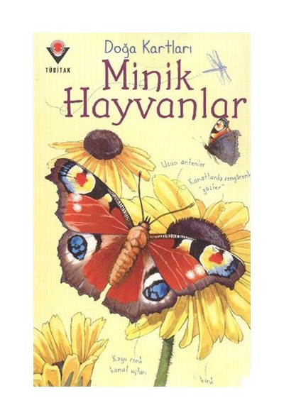 Doğa Kartları Minik Hayvanlar-Emily Bon