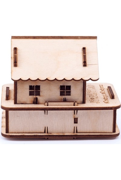 Stemist Box Ahşap RGB Ev