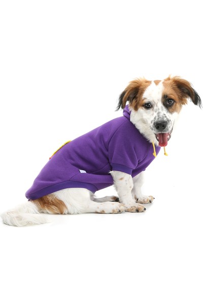 Dogi & Dog Civciv Kedi - Köpek Sweat - Köpek Kıyafeti Dogi & Dog Civciv Kedi - Köpek Sweat - Köpek Kıyafeti