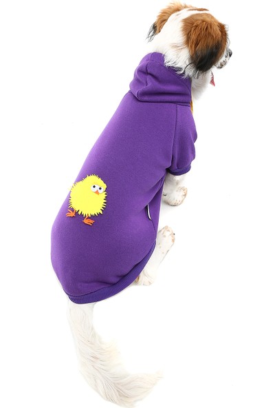 Dogi & Dog Civciv Kedi - Köpek Sweat - Köpek Kıyafeti