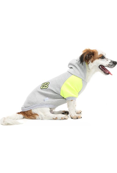 Dogi & Dog 69 Fosfor Kedi Köpek Sweat - Köpek Elbisesi Dogi & Dog 69 Fosfor Kedi Köpek Sweat - Köpek Elbisesi