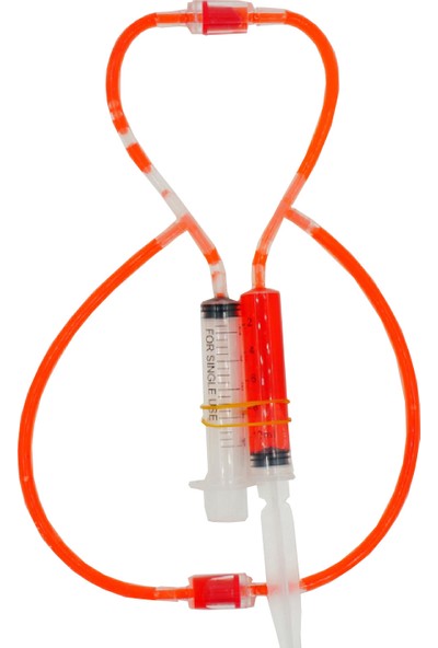 Ece Kan Dolaşımı Modeli – Demonte – Öğrenci Modeli Ece Kan Dolaşımı Modeli – Demonte – Öğrenci Modeli