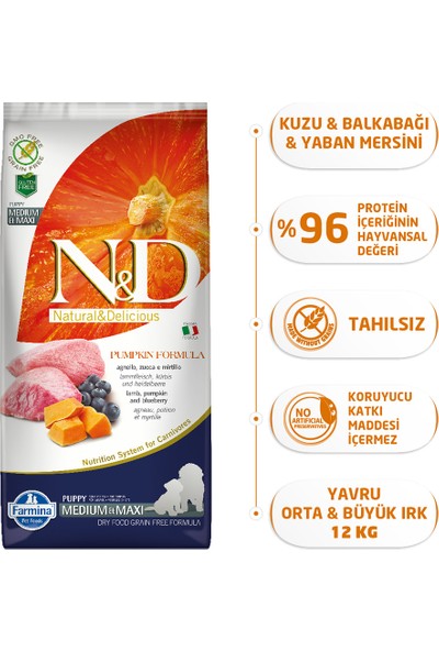 N&D Pumpkin Tahılsız Bal Kabaklı, Kuzu Etli Ve Yaban Mersinli Orta Ve Büyük Irk Yavru Köpek Maması 12Kg N&D Pumpkin Tahılsız Bal Kabaklı, Kuzu Etli Ve Yaban Mersinli Orta Ve Büyük Irk Yavru Köpek Maması 12Kg