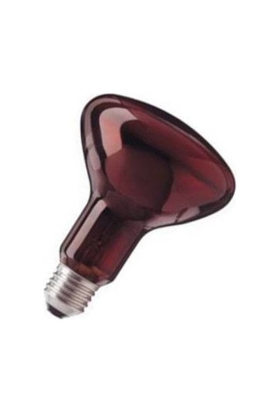 General General 100W Infrared Isıtan Lamba Ampul R95 Kırmızı Işık General General 100W Infrared Isıtan Lamba Ampul R95 Kırmızı Işık