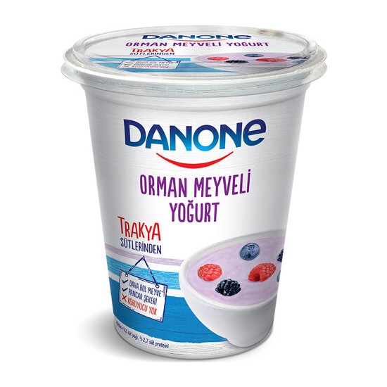 Danone Yoğurt Meyveli Orman Meyveli 450 Gr Fiyatı