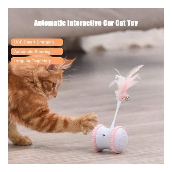 Haitun Kedi Tekerlek Oyuncak Gatos Oyuncaklar Juguetes Para Fiyatı