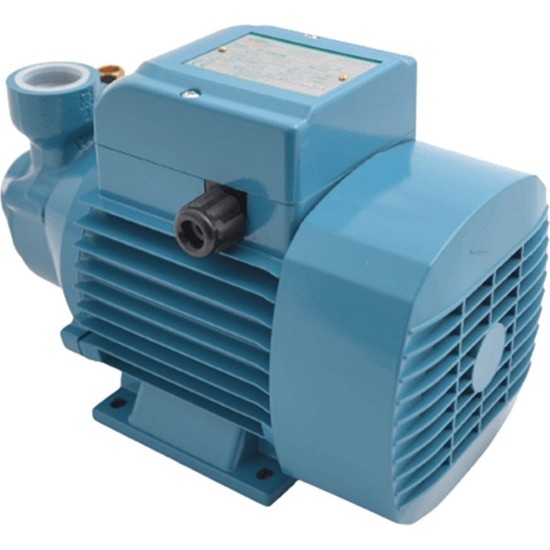 City Pumps Sürtme Fanlı Preferikal Su Pompası / IP-1000 Fiyatı