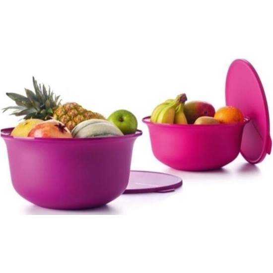 Tupperware Aloha 2'li Set 2lt-4lt Saklama Servis Kabı Fiyatı