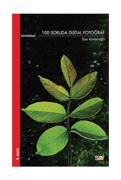 100 Soruda Dijital Fotoğraf