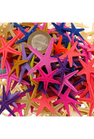 Tahtakale Toptancısı Polyester Deniz Yıldızı Minik Boy 1.5 cm -3 cm (100 Adet) Karışık Renk Tahtakale Toptancısı Polyester Deniz Yıldızı Minik Boy 1.5 cm -3 cm (100 Adet) Karışık Renk