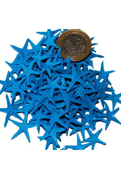 Tahtakale Toptancısı Polyester Deniz Yıldızı Minik Boy 0.5 cm- 1.5 cm (100 Adet) Mavi Tahtakale Toptancısı Polyester Deniz Yıldızı Minik Boy 0.5 cm- 1.5 cm (100 Adet) Mavi
