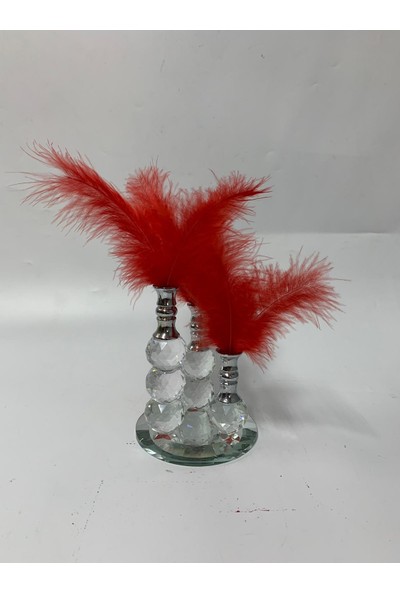 By Arı Ev Dekorasyon Kırmızı Tüylü Kristal Tüylük Gümüş