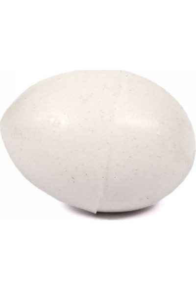 Fit Fly Güvercin Yumurtası 12'li (İçi Dolu) Fit Fly Güvercin Yumurtası 12'li (İçi Dolu)