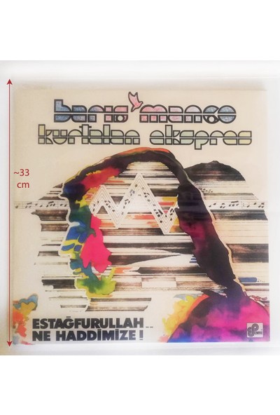 Lp Plak Koruma Naylonu 50'li