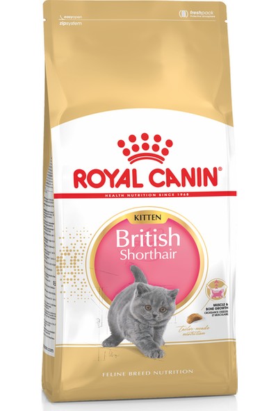 Royal Canin British Shorthair Yavru Kedi Maması 2 Kg Royal Canin British Shorthair Yavru Kedi Maması 2 Kg