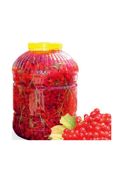 Girabolu (Gilaburu, Girebolu) 5 Lt 2 Adet