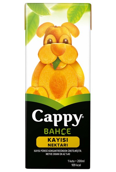 Cappy Kayısı 200 ml