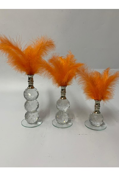 By Ari Üç Adet Turuncu Tüylü Kristal Gümüş