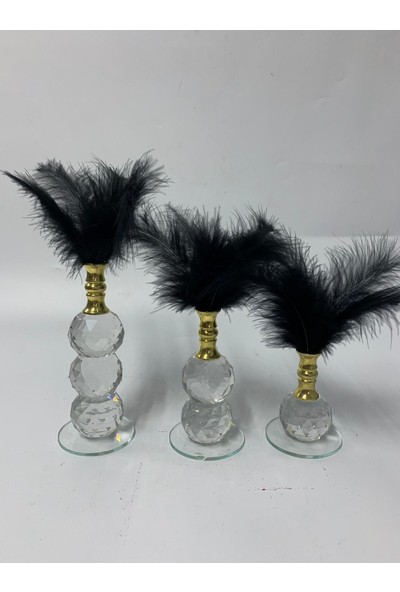 By Ari Üç Adet Siyah Tüylü Kristal Gold By Ari Üç Adet Siyah Tüylü Kristal Gold