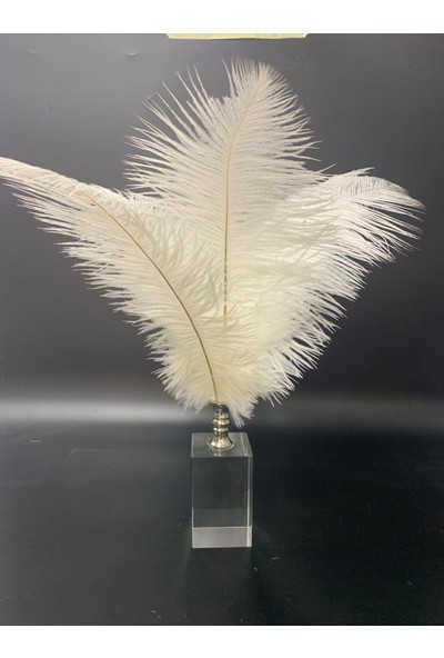 Beyaz Tüylü Kristal Gümüş