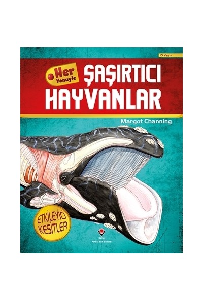 Her Yönüyle Şaşırtıcı Hayvanlar
