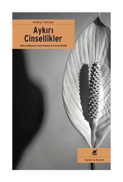 Aykırı Cinsellikler