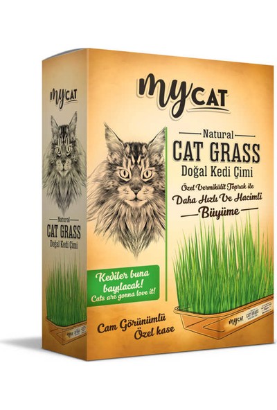 My Cat Doğal Kedi Çimi