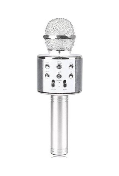 Evervox EVR KRK 02 Karaoke Mikrofon Silver Evervox EVR KRK 02 Karaoke Mikrofon Silver