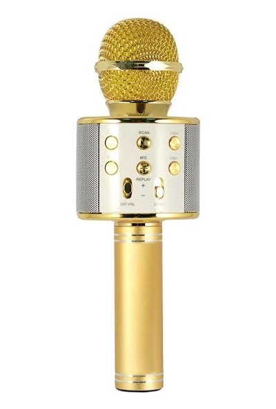 Evervox EVR KRK 02 Karaoke Mikrofon Gold Evervox EVR KRK 02 Karaoke Mikrofon Gold