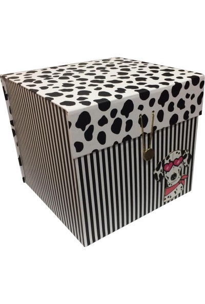 Gıpta Dalmaçya Hediye Kutusu