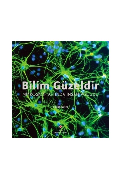 Bilim Güzeldir - Mikroskop Altında İnsan Vücudu Bilim Güzeldir - Mikroskop Altında İnsan Vücudu