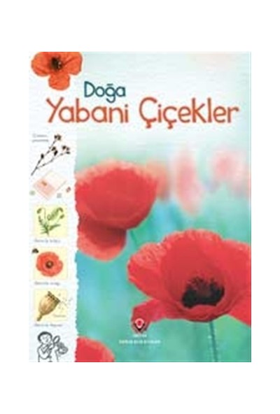 Doğa - Yabani Çiçekler Doğa - Yabani Çiçekler