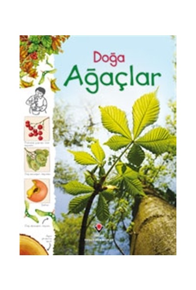 Doğa - Ağaçlar Doğa - Ağaçlar