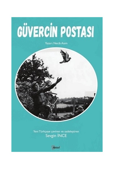 Güvercin Postası