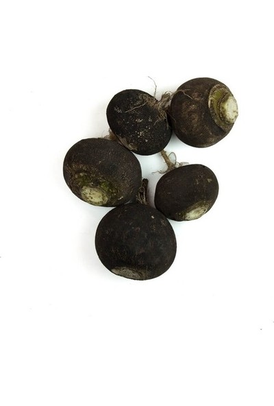 Mutlu Sebzeler Siyah Turp 2 kg Mutlu Sebzeler Siyah Turp 2 kg