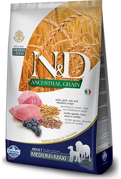 N&D Düşük Tahıllı Kuzulu ve Yaban Mersinli Medium Maxi Köpek Maması 2,5 kg N&D Düşük Tahıllı Kuzulu ve Yaban Mersinli Medium Maxi Köpek Maması 2,5 kg