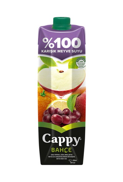 Cappy 100 Karışık Meyve Suyu 1 Lt Cappy 100 Karışık Meyve Suyu 1 Lt