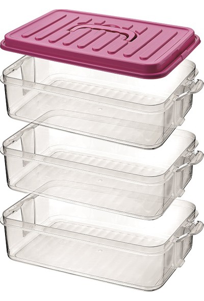 Asude 3'lü Çok Amaçlı Saklama Kabı Seti Büyük Boy Asude 3'lü Çok Amaçlı Saklama Kabı Seti Büyük Boy