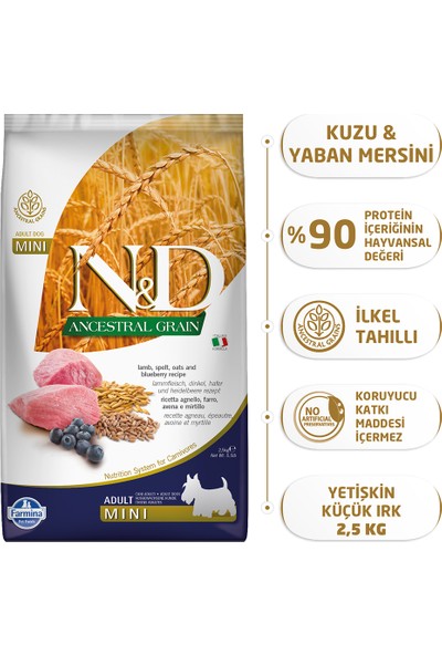 N&D Kuzu Etli Yaban Mersini Düşük Tahıllı Yetişkin Mini Irk 2,5 Kg Köpek Maması N&D Kuzu Etli Yaban Mersini Düşük Tahıllı Yetişkin Mini Irk 2,5 Kg Köpek Maması