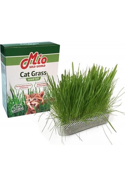 Mio Cat Grass Kedi Çimi