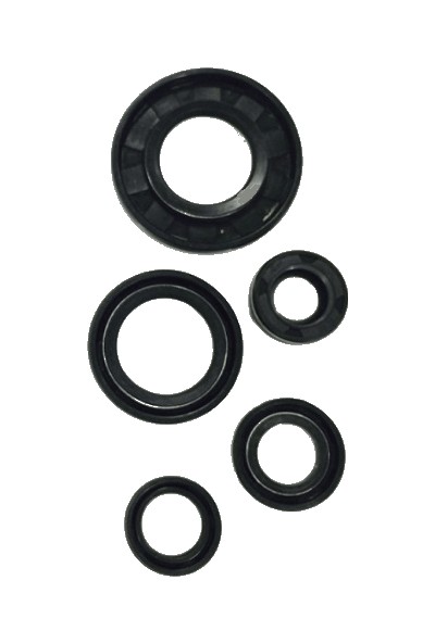 Yamaha Ybr 125 Keçe Seti