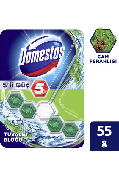 Domestos 5'li Güç Çam Ferahlığı Wc Blok 55 GR
