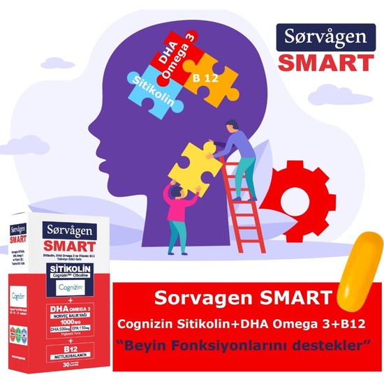 Sorvagen Smart Sitikolin, Dha Omega 3 ve B12 (30 Kapsül) - 2 Fiyatı