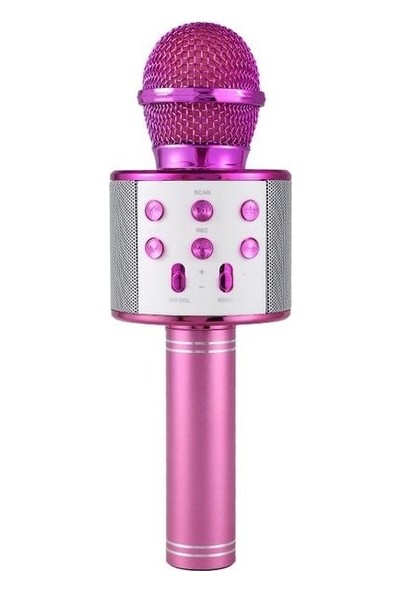 Wster Ws-858 Wireless Karaoke Mikrofon Bluetooth Hoparlör Wster Ws-858 Wireless Karaoke Mikrofon Bluetooth Hoparlör