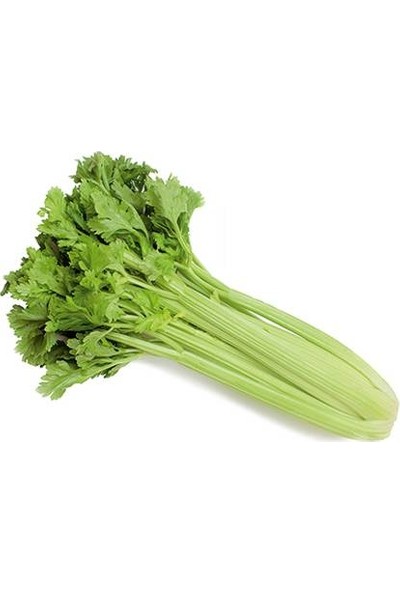 Mutlu sebzeler Sap Kereviz Paket 6'lı Mutlu sebzeler Sap Kereviz Paket 6'lı