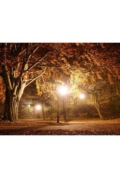 Duvar Tasarım DLC 1202 City & Mix Led Kanvas Tablo - 50x70 cm